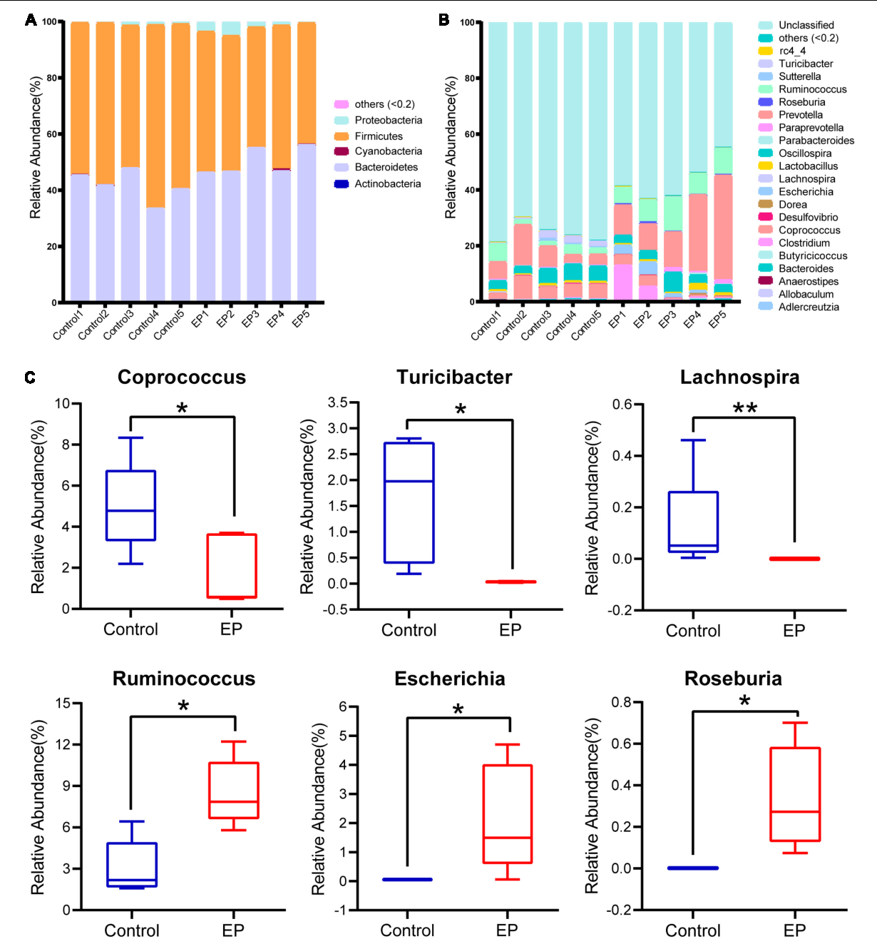 Figure 1 From Alterations And Correlations Of Gut Microbiota And Fecal