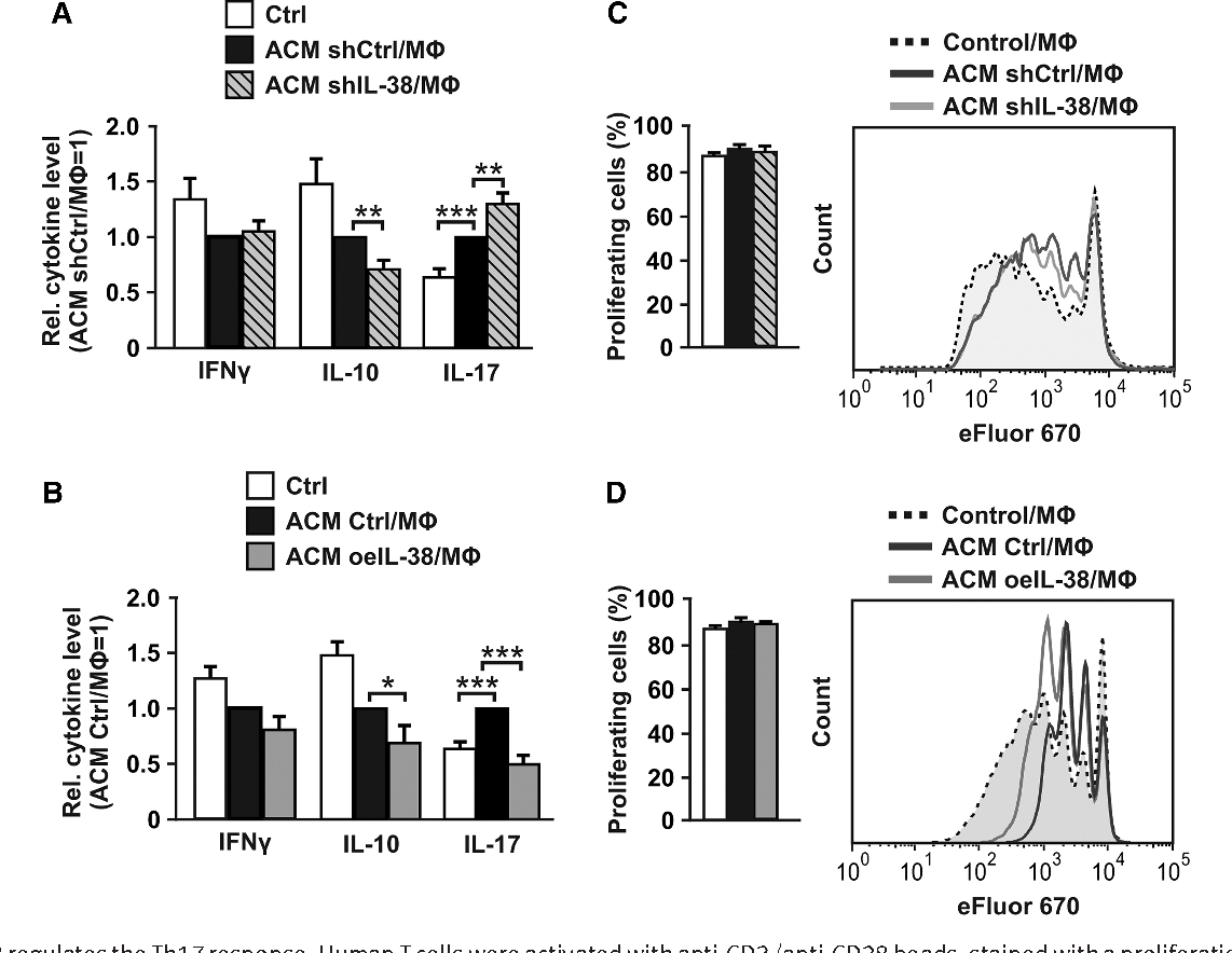 Pdf Interleukin 38 Is Released From Apoptotic Cells To Limit