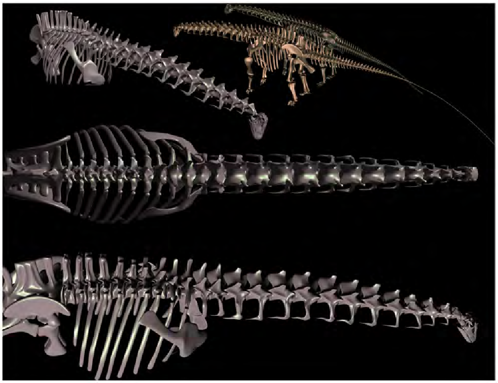 Figure 13 From An Evolutionary Cascade Model For Sauropod Dinosaur