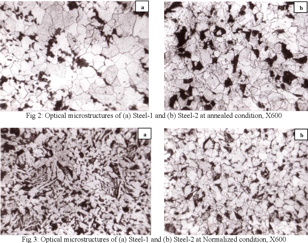 Low Carbon Steel Microstructure