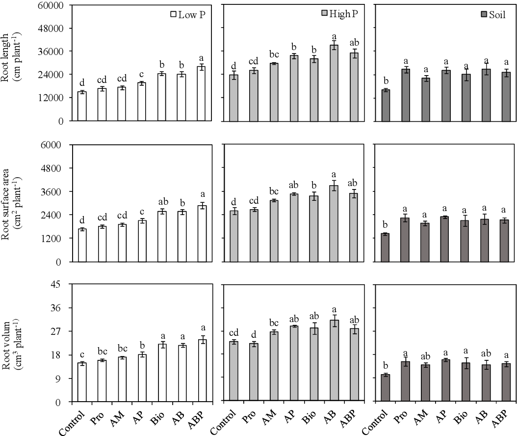 Table 1 From Phosphate Uptake Is Correlated With The Root Length Of