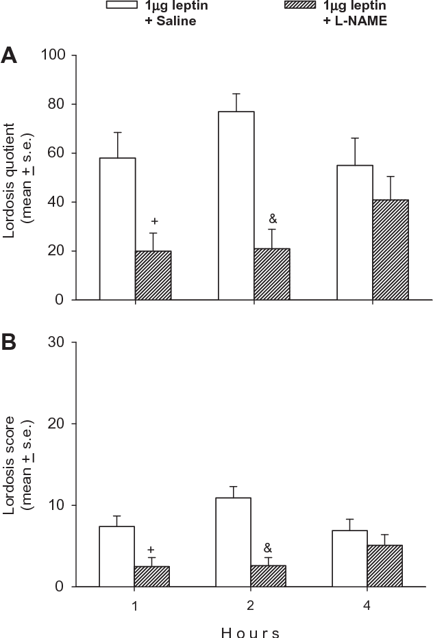 The Nitric Oxide Pathway Participates In Lordosis Behavior Induced By