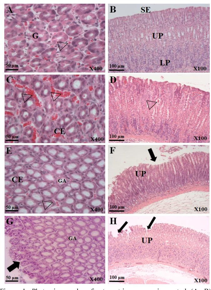 Table 1 From Gastric Mucosa Injury Quantification In An Ischemia