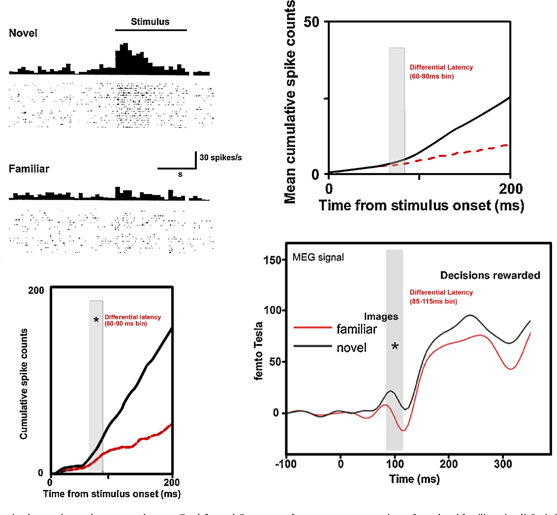 Figure 1 From N Search Of A Recognition Memory Engram Semantic Scholar