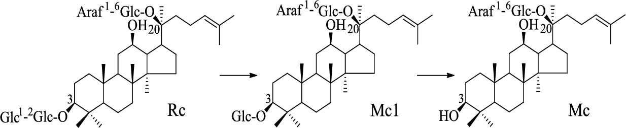 Figure 1 From Biotransformation Of Major Ginsenosides Into Compound K