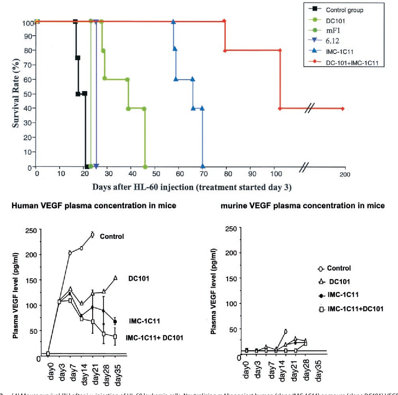 Figure 1 From Inhibition Of Both Paracrine And Autocrine Vegf Vegfr 2