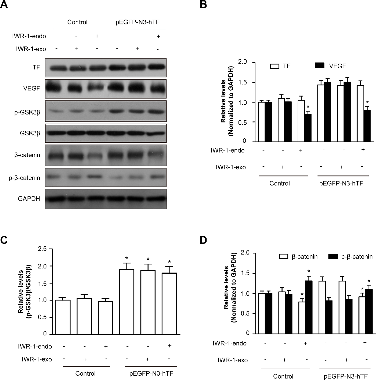 Figure 5 From Tissue Factor Induces Vegf Expression Via Activation Of