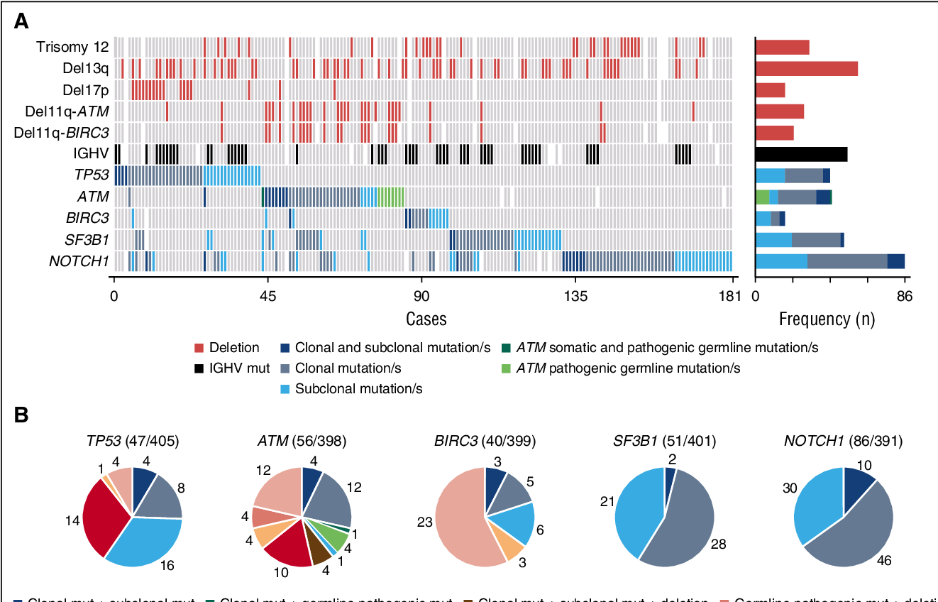 Figure 1 From Clinical Impact Of Clonal And Subclonal Tp53 Sf3b1