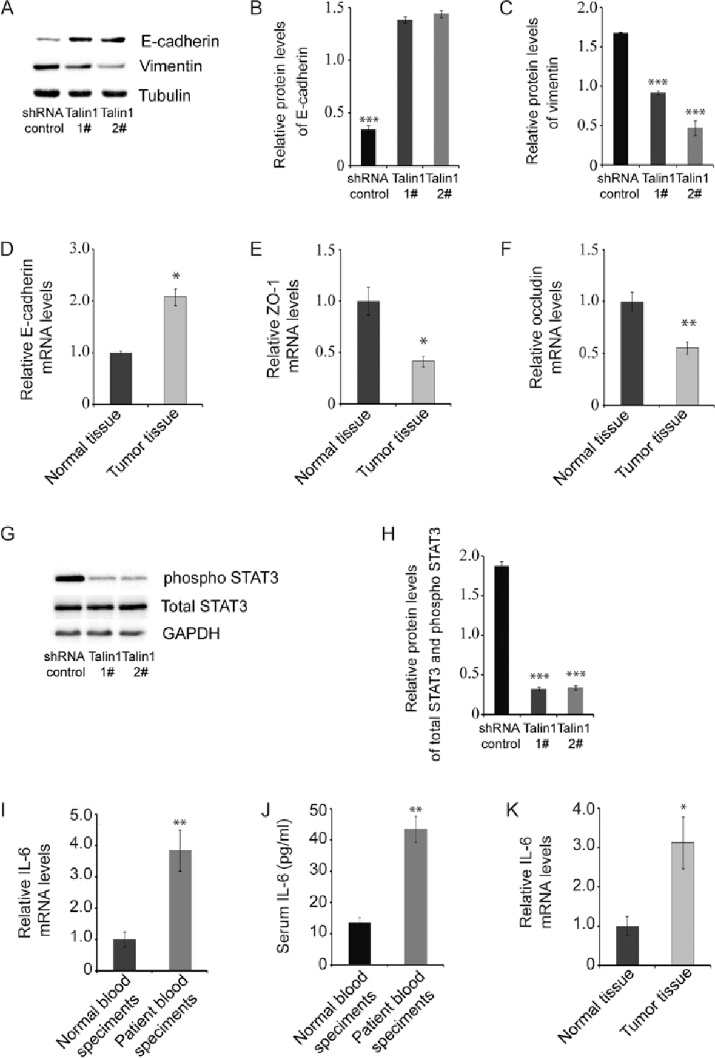 Figure 1 From Talin1 Knockdown Prohibits The Proliferation And