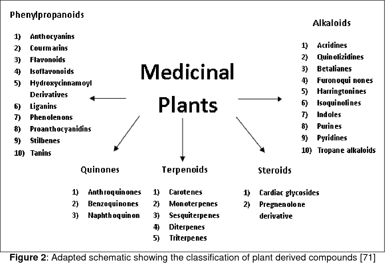 Figure 2 From In Vitro Micropropagation Of Medicinal Plants By Tissue