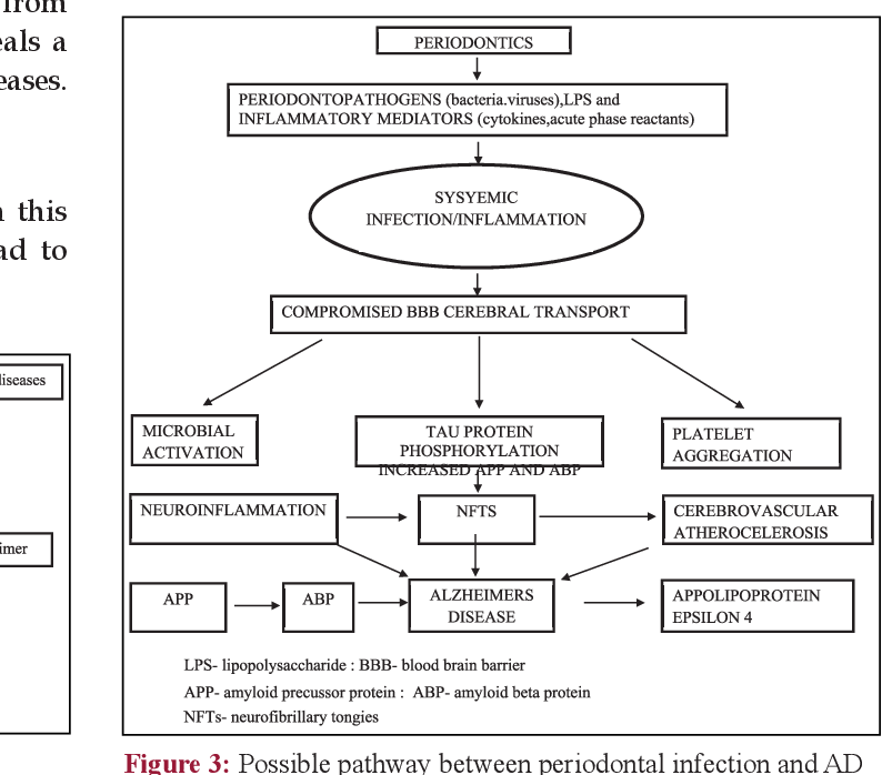 Figure 1 From Association Between Periodontitis And Alzheimers Disease