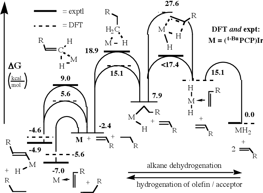 Figure 1 From Alkane Transfer—dehydrogenation Catalyzed By A Pincer