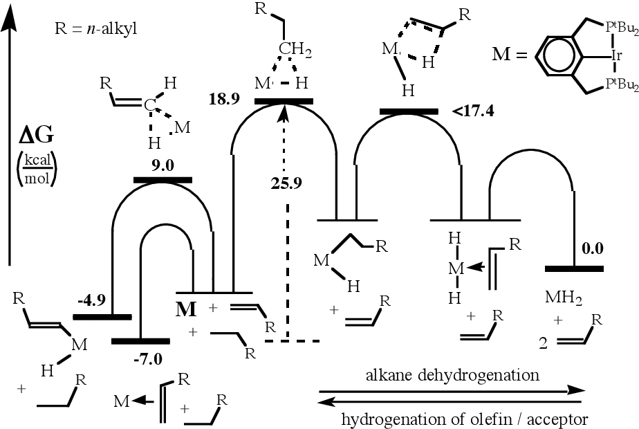 Figure 1 From Alkane Transfer—dehydrogenation Catalyzed By A Pincer