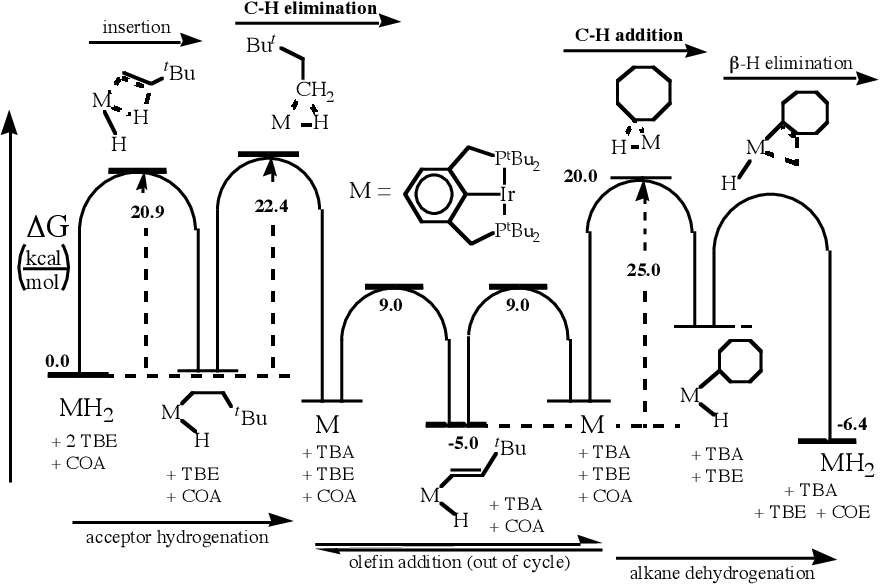 Figure 1 From Alkane Transfer—dehydrogenation Catalyzed By A Pincer