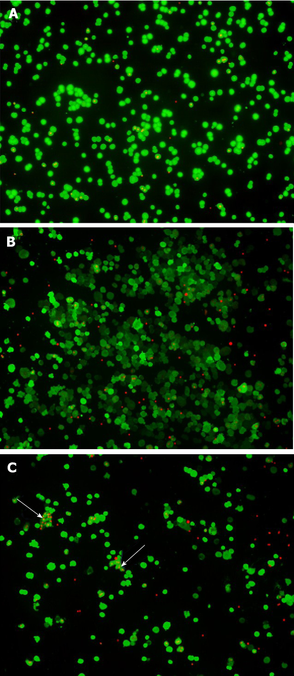 Figure 2 From Improved Cryopreservation Of Human Hepatocytes Using A