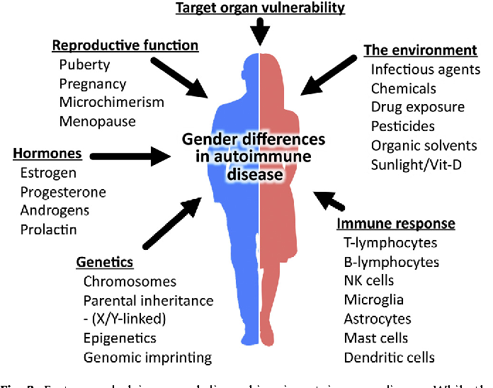 Figure 2 From Gender Differences In Autoimmune Disease Semantic Scholar