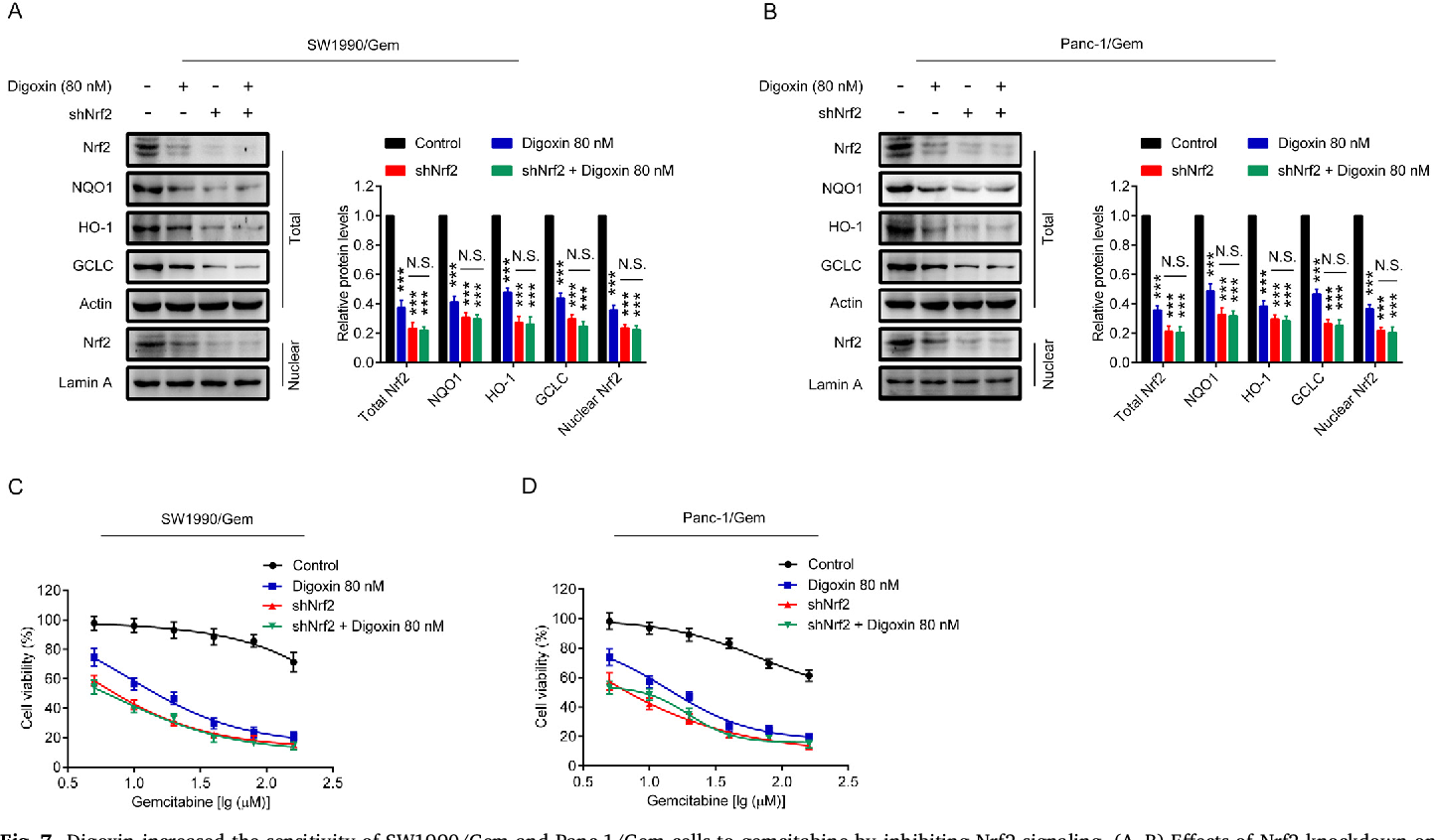 Digoxin Sensitizes Gemcitabine Resistant Pancreatic Cancer Cells To