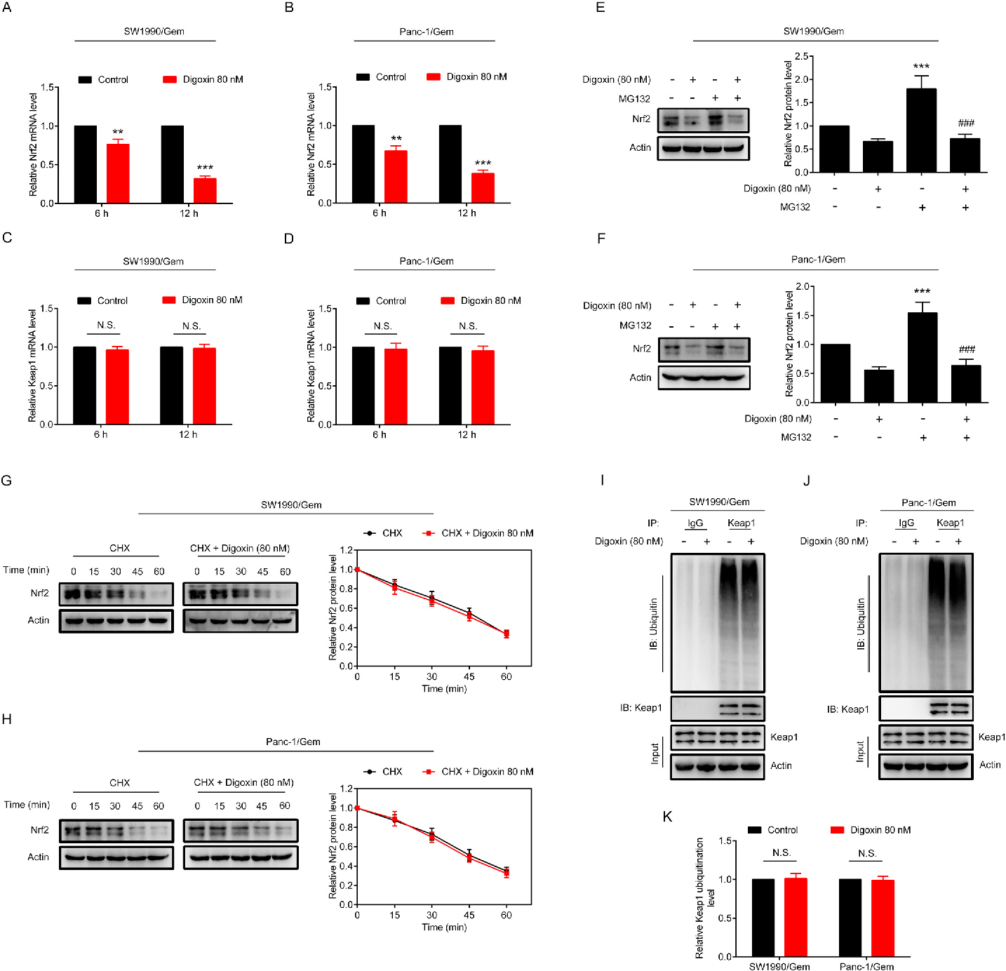 Digoxin Sensitizes Gemcitabine Resistant Pancreatic Cancer Cells To