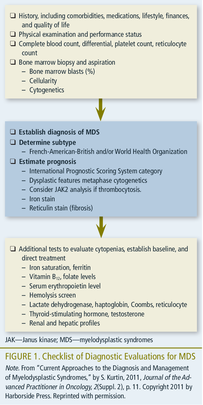 Myelodysplastic Syndrome Pathophysiology