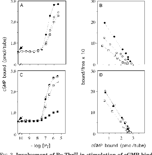 Figure 1 From Binding Of Cgmp To Gaf Domains In Amphibian Rod