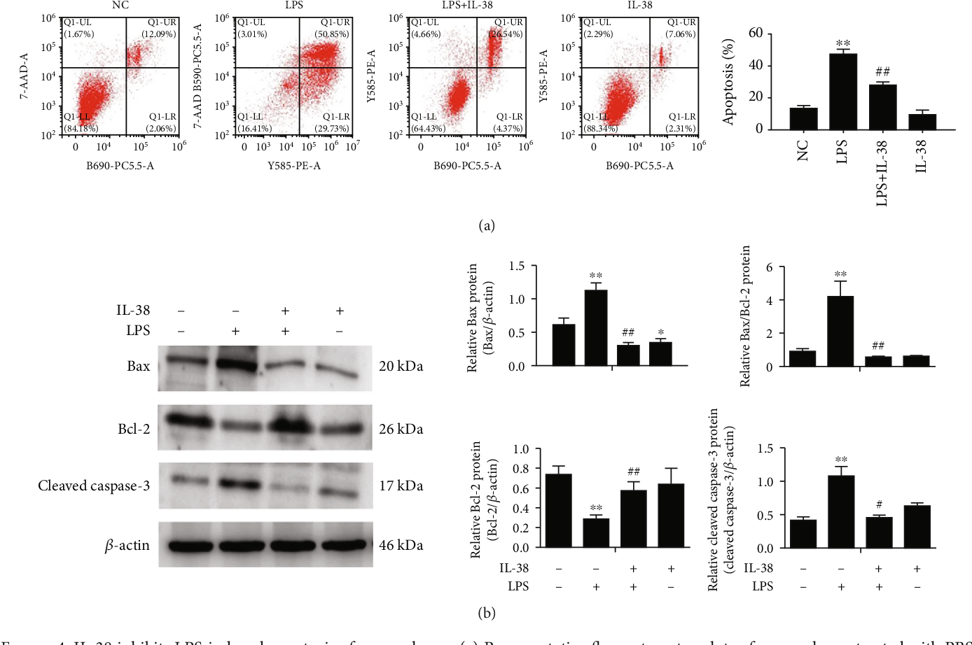 Figure 1 From Il 38 Alleviates Inflammation In Sepsis In Mice By