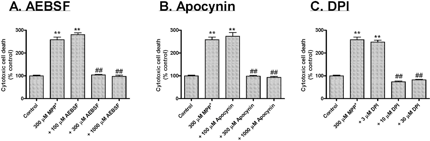 Figure 1 From Pharmacological Inhibition Of Neuronal Nadph Oxidase