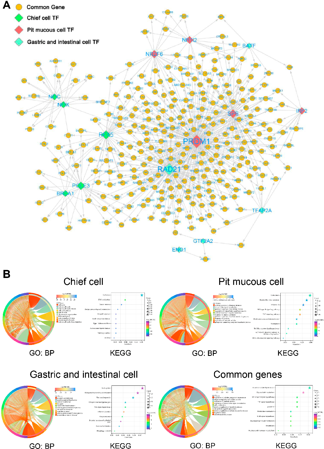 Pdf Single Cell And Bulk Rna Sequencing Reveal Malignant Epithelial