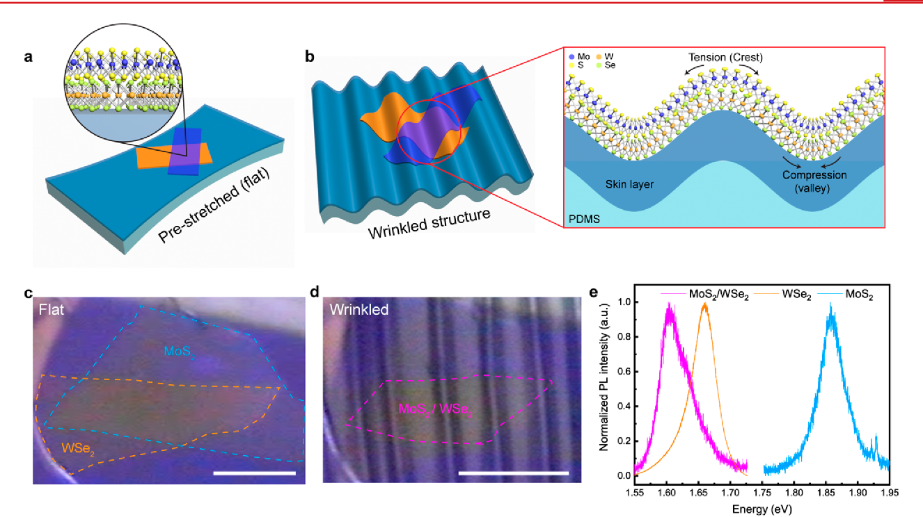 Figure 1 From Highly Strain Tunable Interlayer Excitons In Mos2wse2