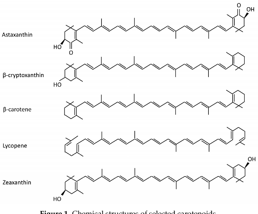 Pdf Astaxanthin And Its Effects In Inflammatory Responses And