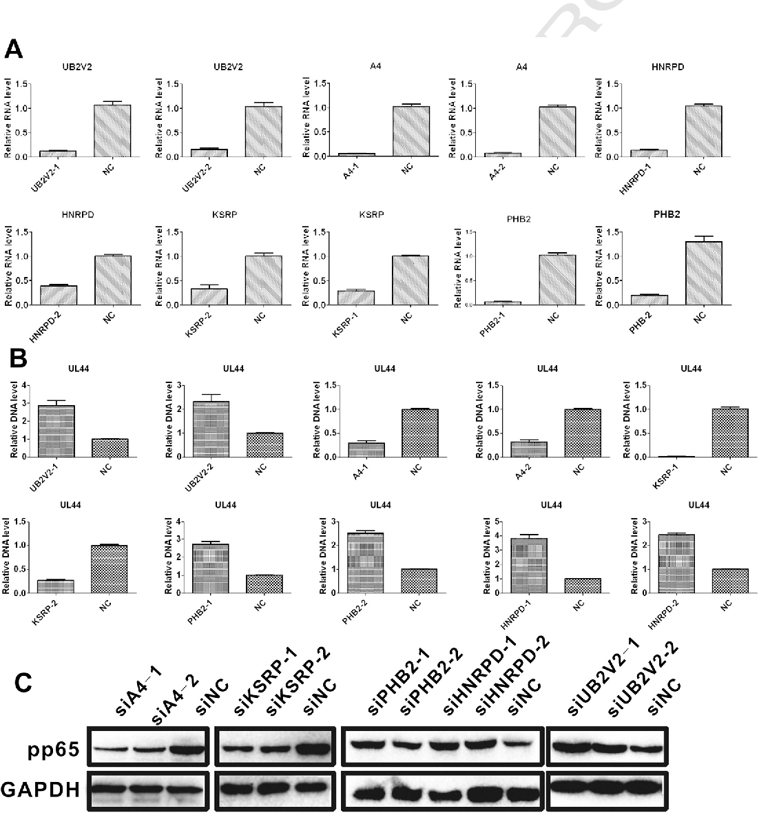 Figure 1 From Subcellular Quantitative Proteomic Analysis Reveals Host