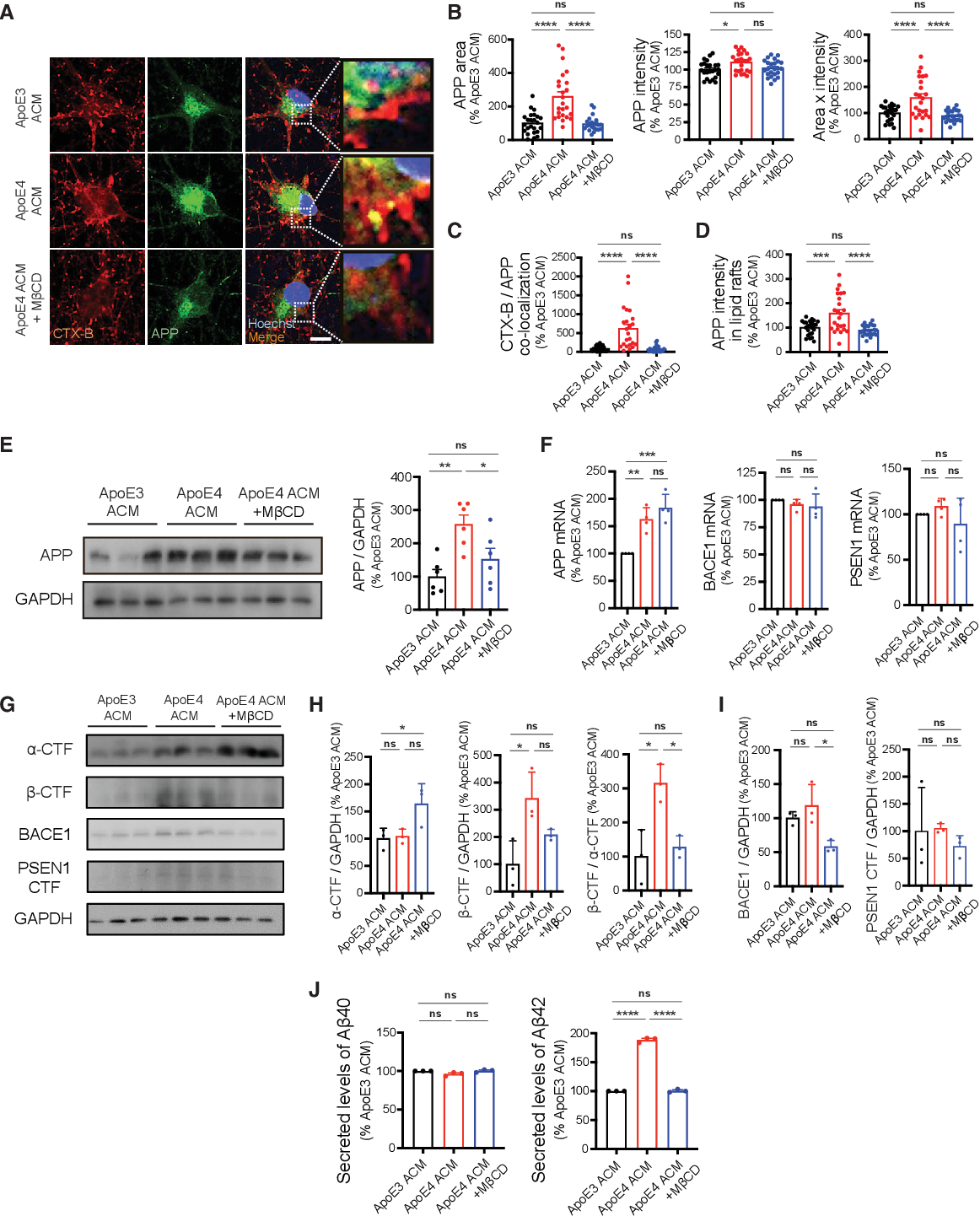 Apoe4 Carrying Human Astrocytes Oversupply Cholesterol To Promote