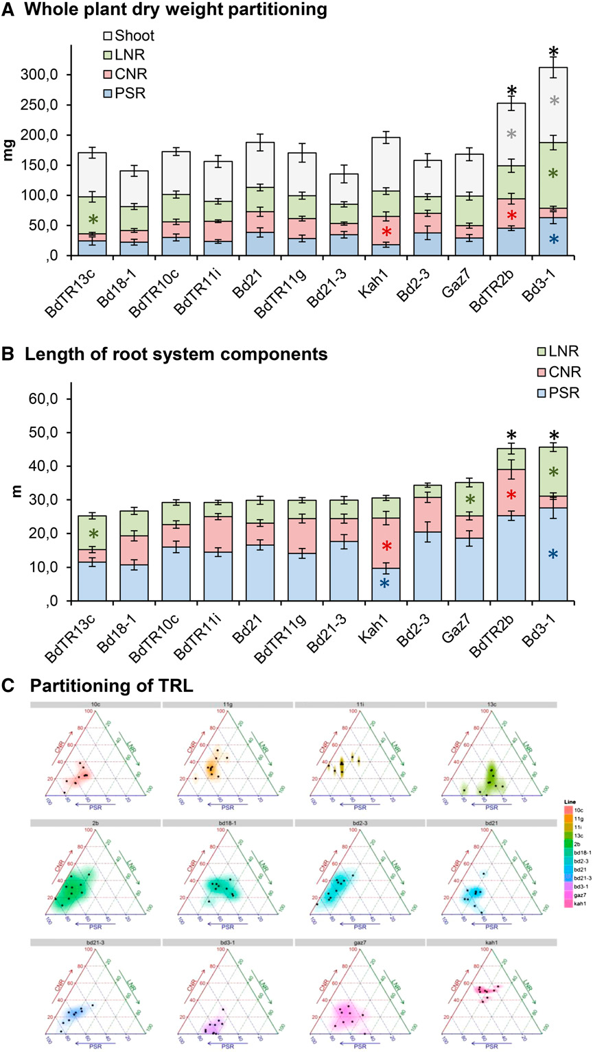 Figure 1 From Variation In Adult Plant Phenotypes And Partitioning