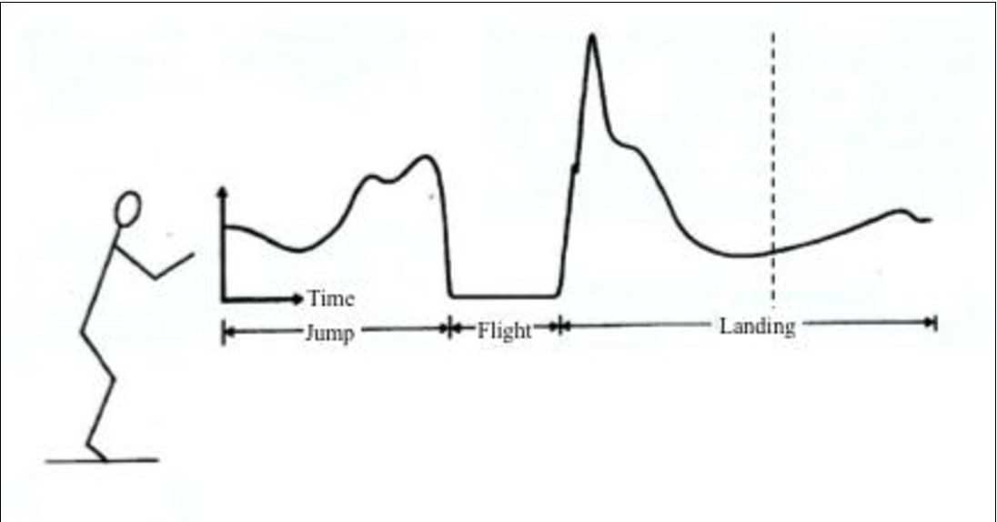 Figure 1 From Ground Reaction Force Profiles Of Specific Jump Landing