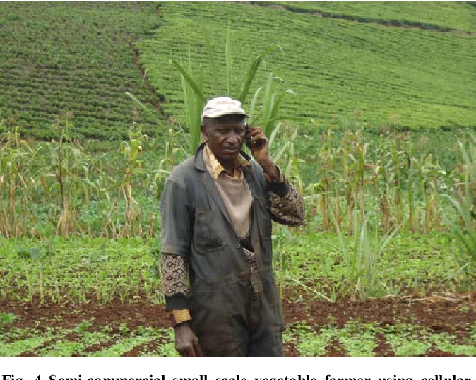 Intensive Subsistence Farming Rice