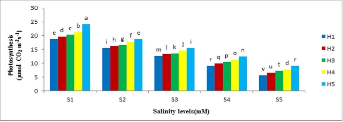 Figure 1 From Effects Of Different Humic Acid And Salinity Levels On