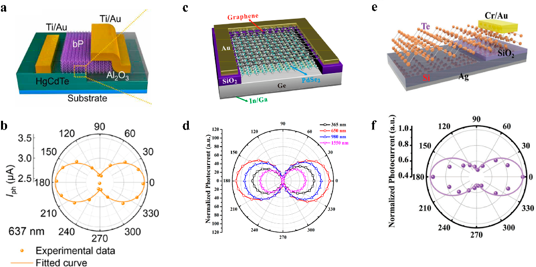 Figure 1 From Infrared Photodetection From 2d3d Van Der Waals