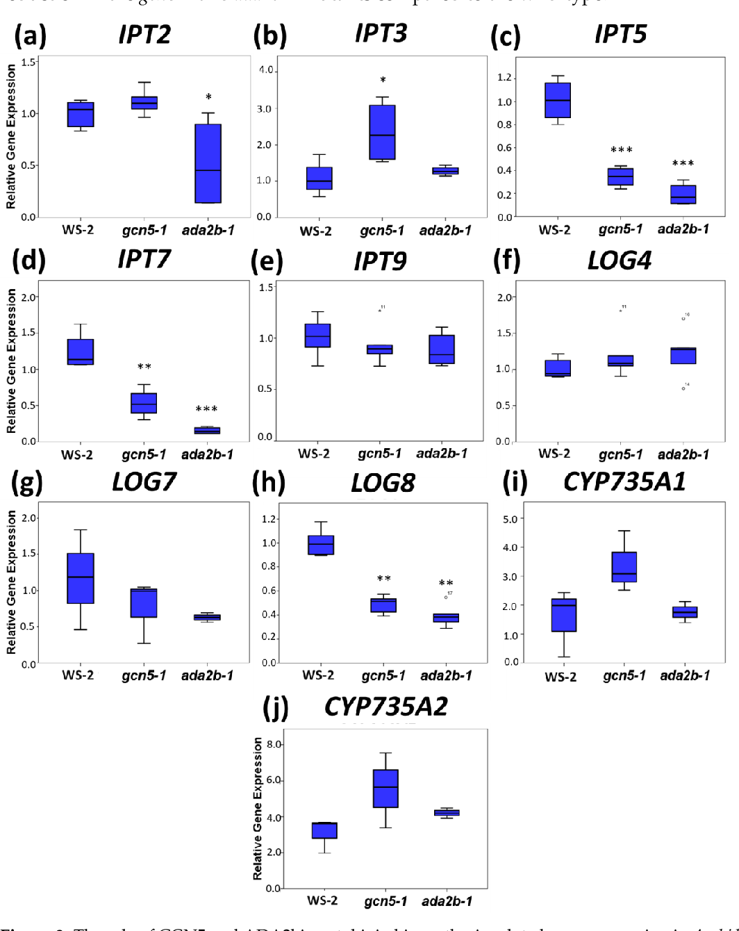 Figure 1 From Ada2b And Gcn5 Affect Cytokinin Signaling By Modulating