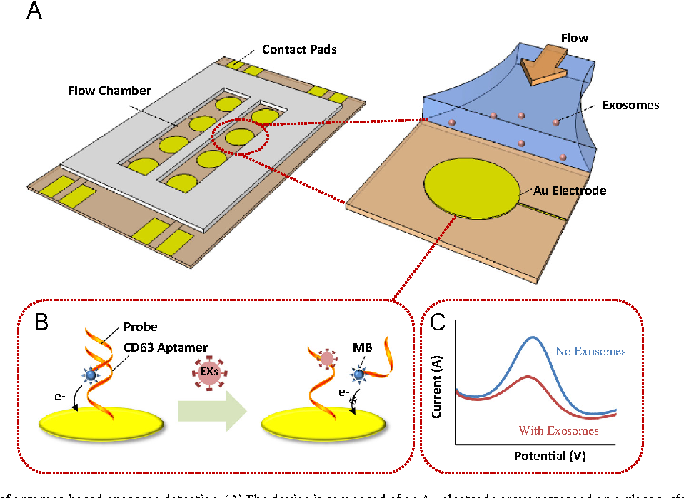 Figure 1 From Development Of An Aptasensor For Electrochemical