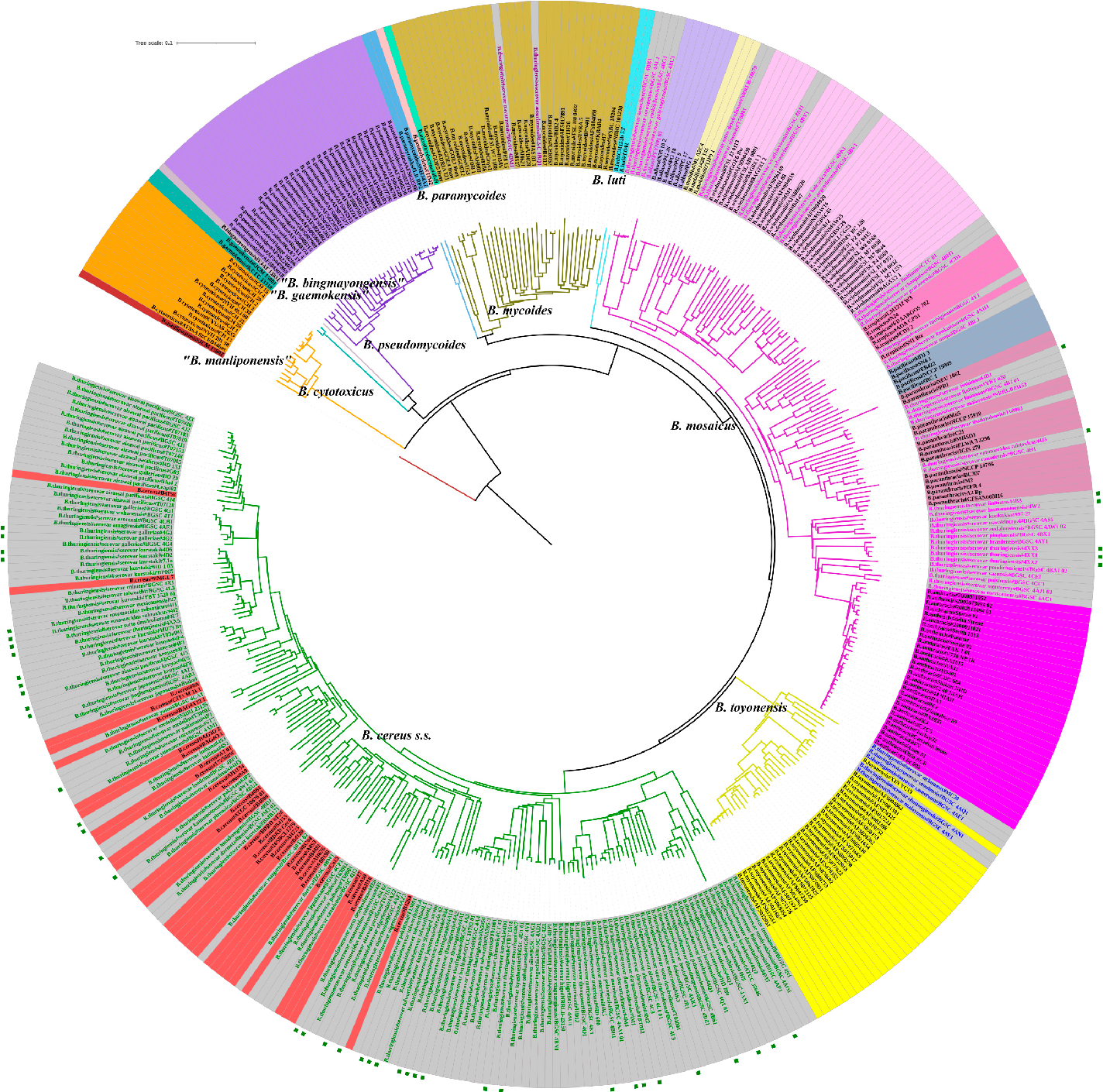 Figure 1 From Development Of An Online Genome Sequence Comparison