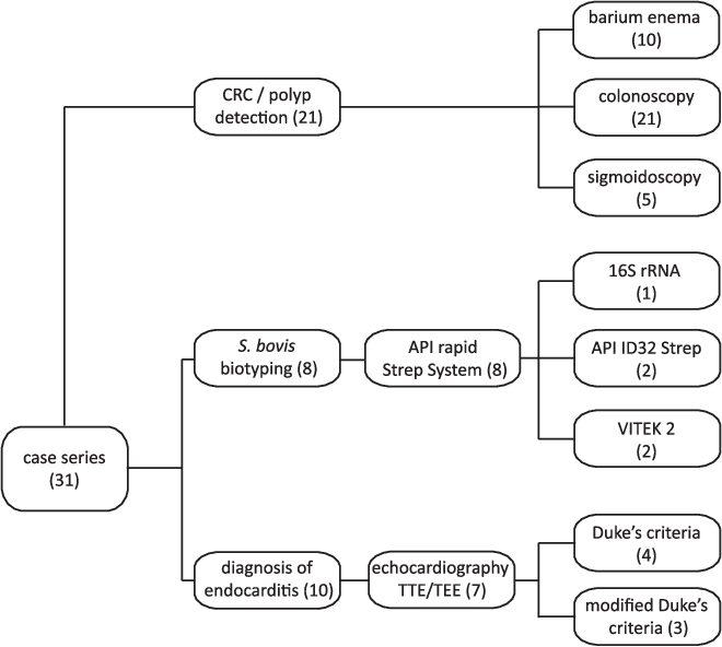 Figure 1 From Clinical Importance Of Streptococcus Gallolyticus