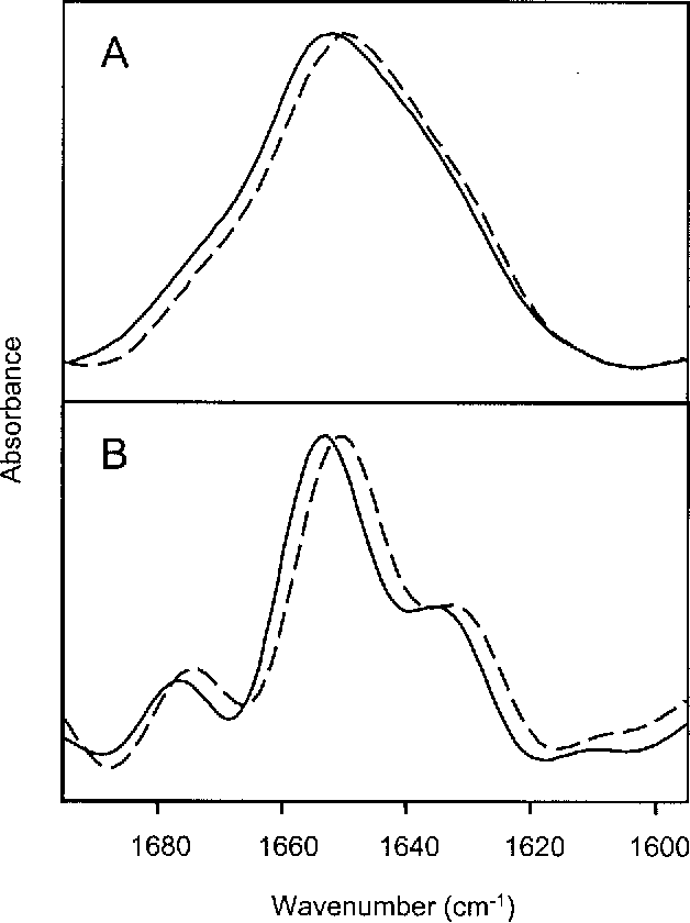 Pdf Two Dimensional Infrared Correlation Spectroscopy Study Of The