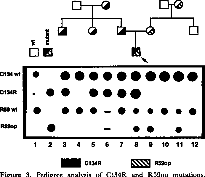 Figure 3 From A Partially Active Mutant Aldolase B From A Patient With