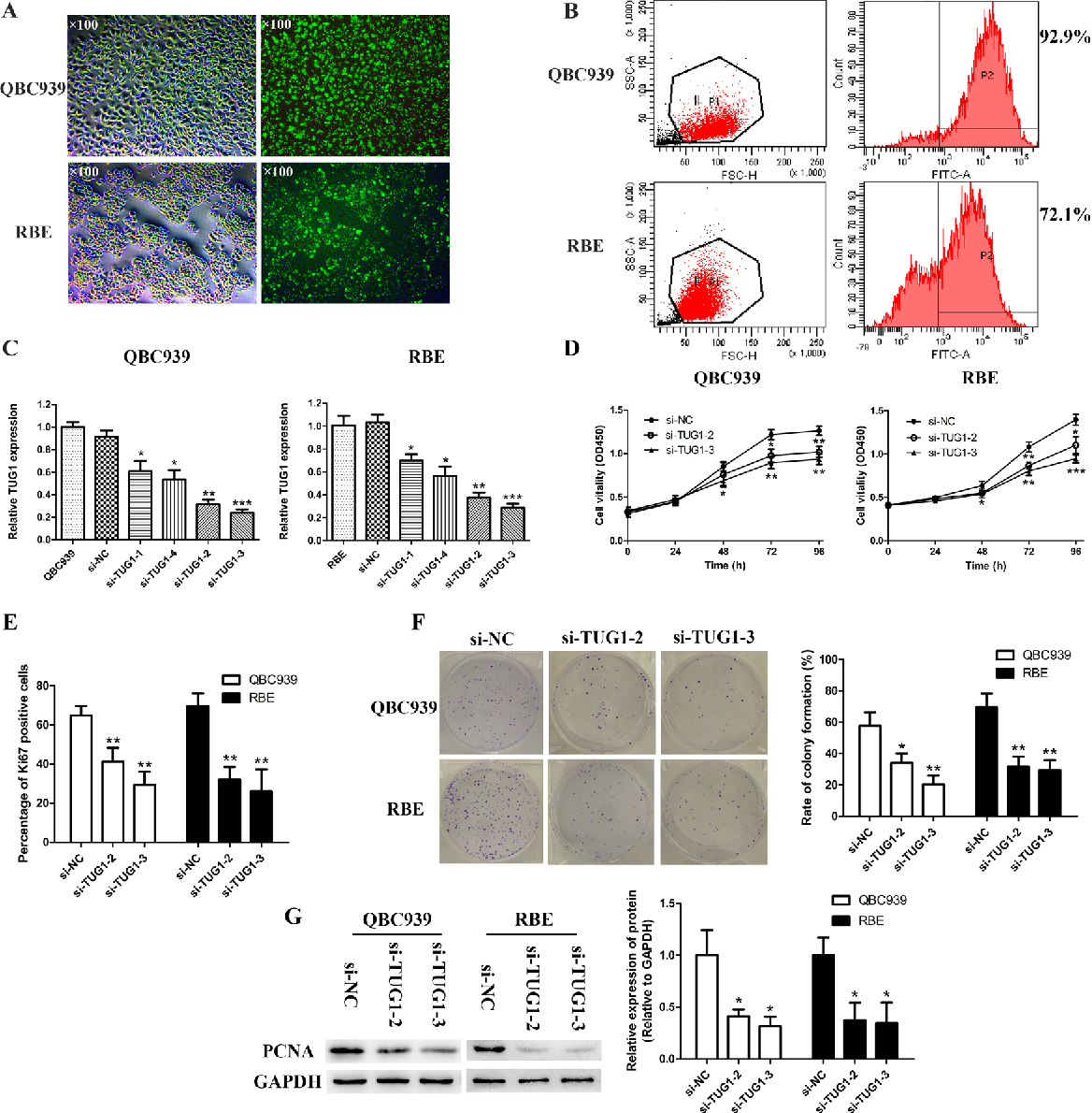 Figure 1 From The Prognostic Potential And Carcinogenesis Of Long Non