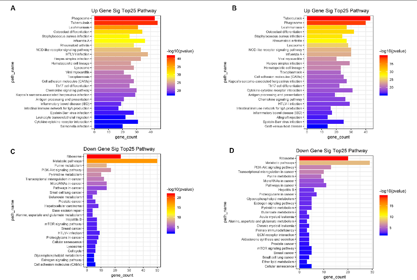 Figure 1 From A Novel Immune Related Competing Endogenous Rna Network