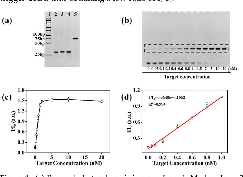 Pdf Catalytic Hairpin Assembly Based Self Ratiometric Gel