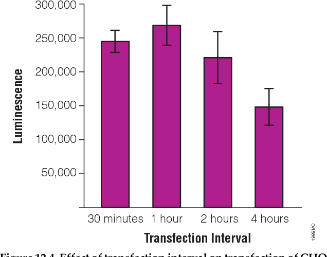 Figure 121 From Transient Expression Versus Stable Transfection 3 C