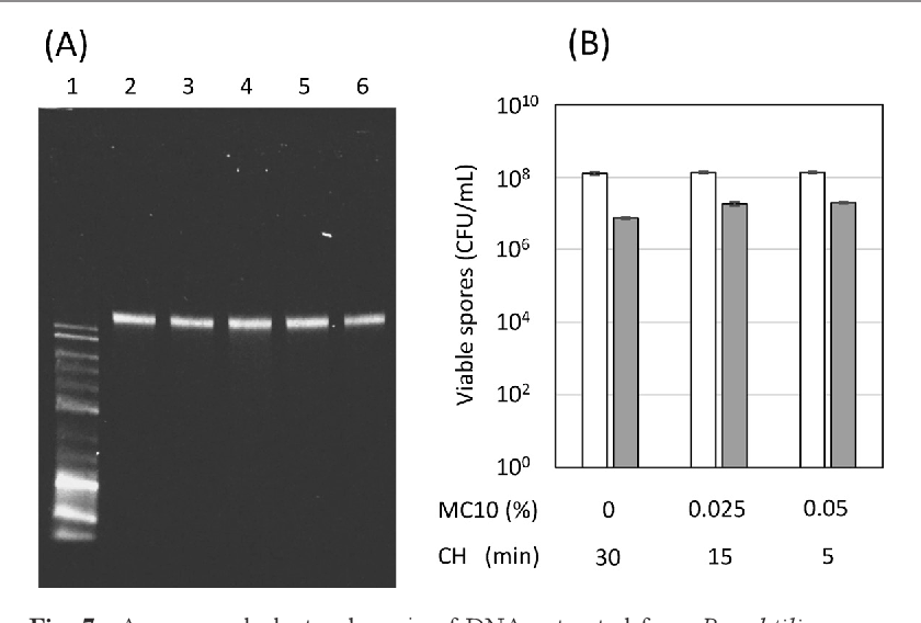 Figure 2 From Inactivation Of Bacillus Subtilis Spores By Carbonation