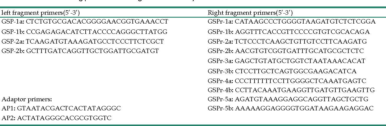 Table 1 From Genetic Differentiation And Efficient Sex Specific Marker