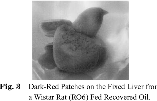 Figure 1 From Mild Ingestion Of Used Frying Oil Damages Hepatic And