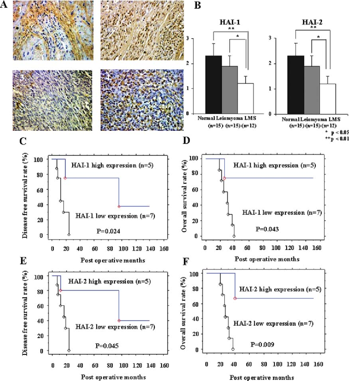 Figure 1 From Hepatocyte Growth Factor Activator Inhibitors Hai 1 And